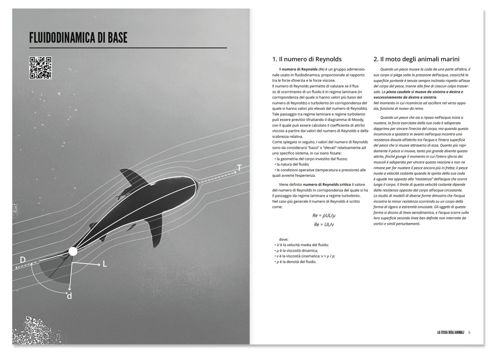 la fisica degli animali - M. Roberta Cramarossa graphic designer