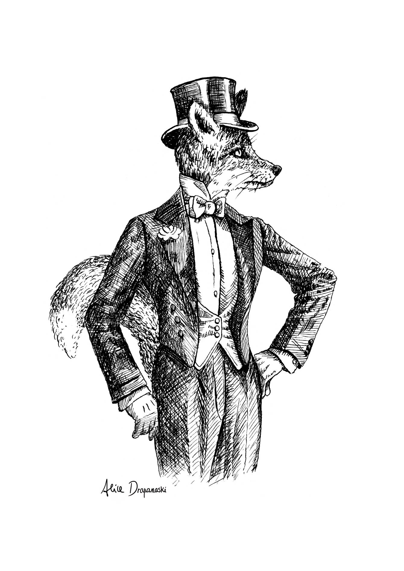 Rétro animals illustrations - Alice Drapanaski