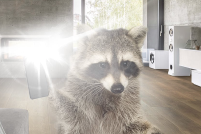 Wild About Timbercraft - Christian Durrett