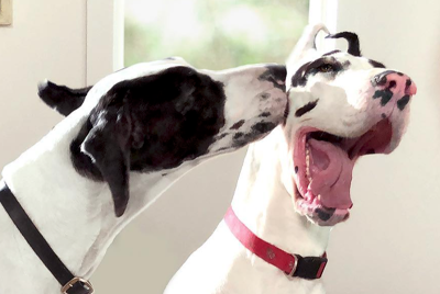 Social - Christian Durrett