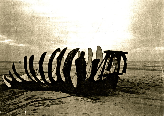 Mutoid World Tour - Mutoid Waste Company