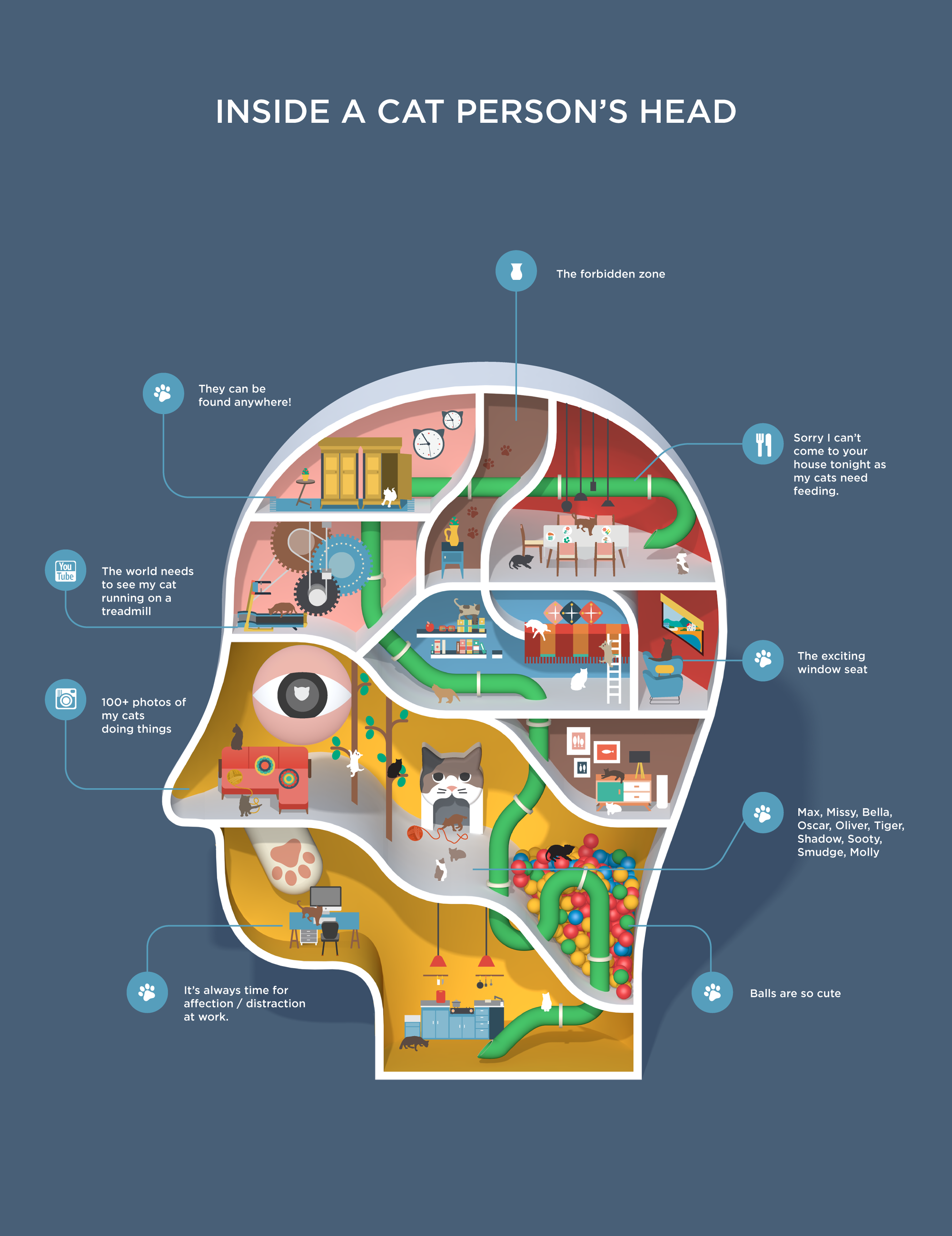 Inside a Cat Person's Head - Jing Zhang illustration