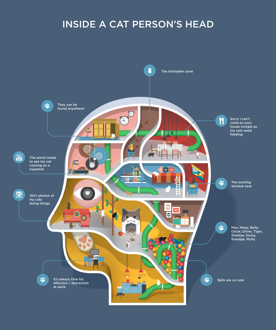 Inside a Cat Person's Head - Jing Zhang illustration