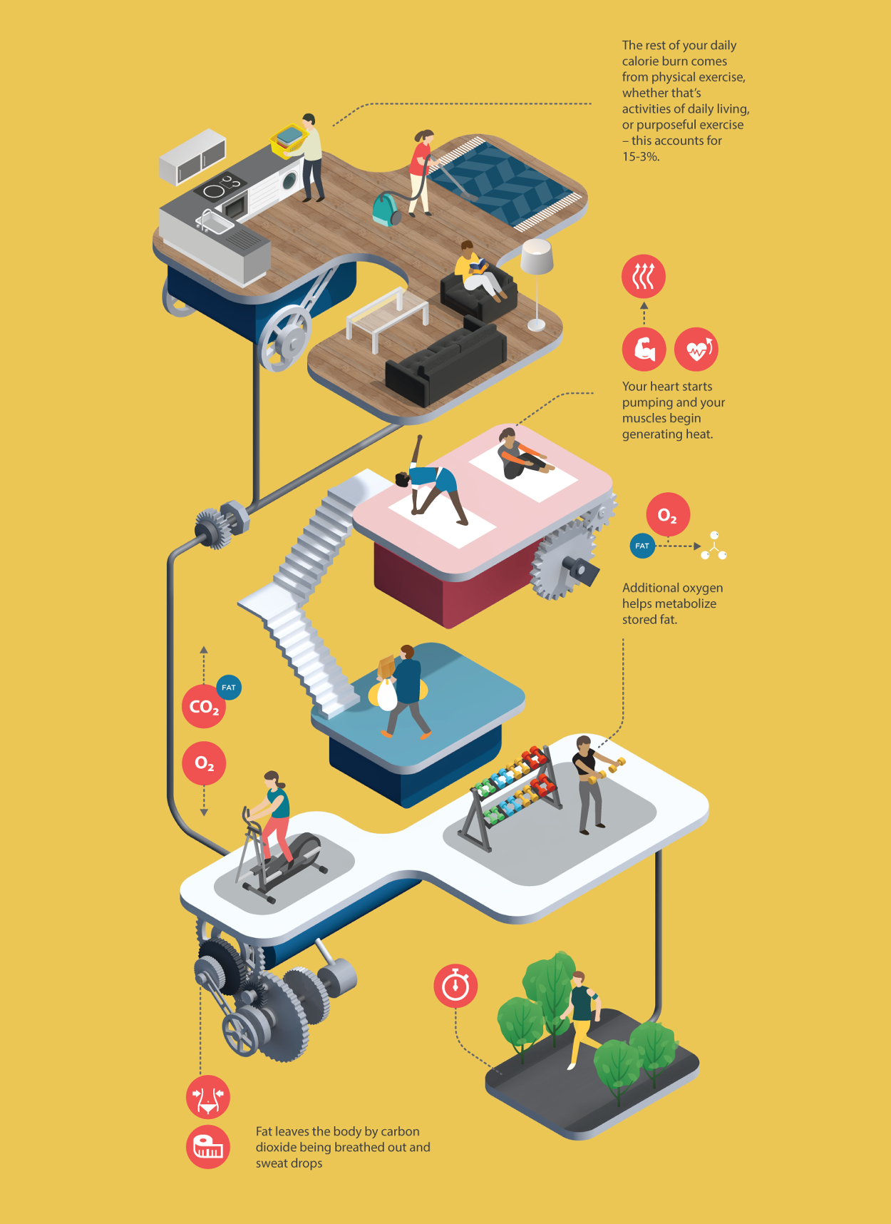 Burn More Calories - Jing Zhang illustration