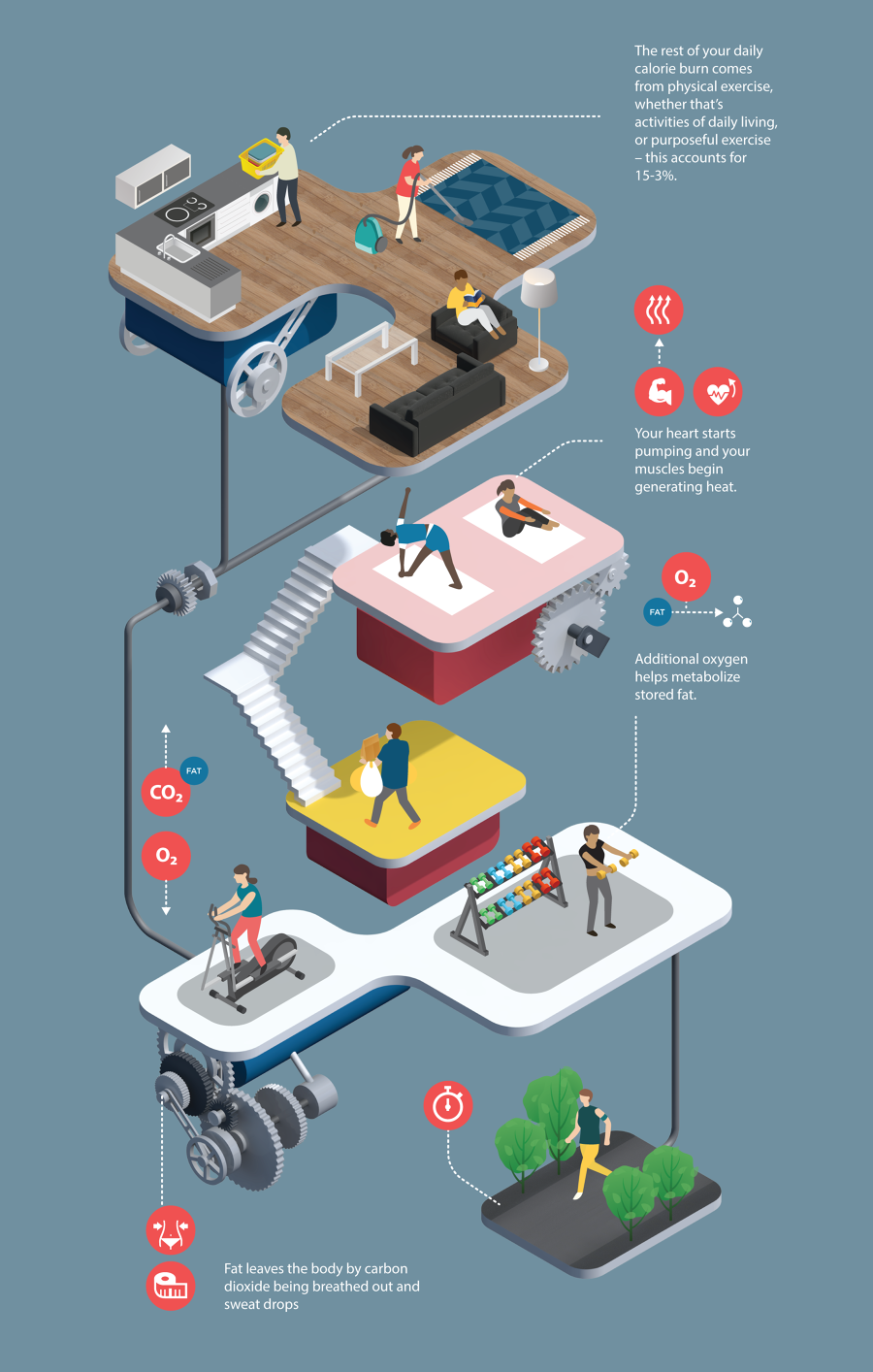 Burn More Calories - Jing Zhang illustration