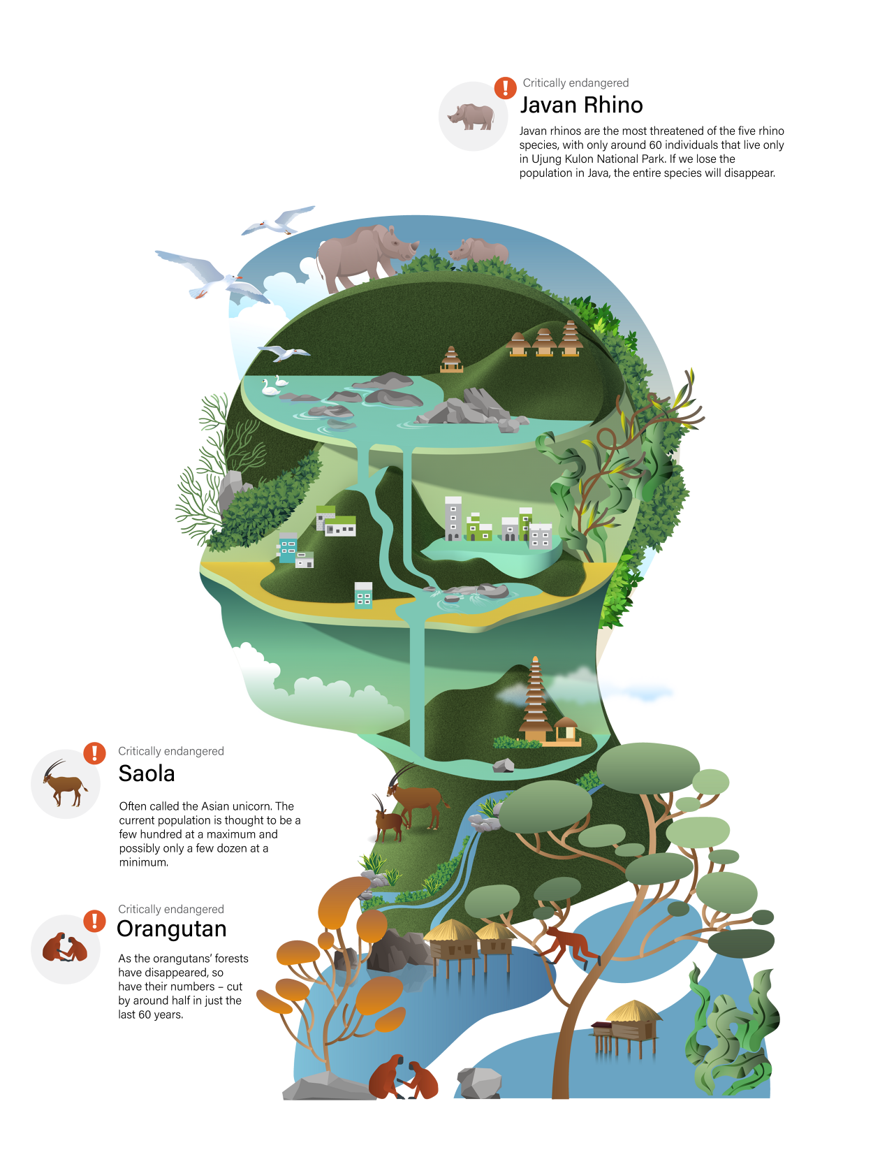 The conservation work - Jing Zhang illustration