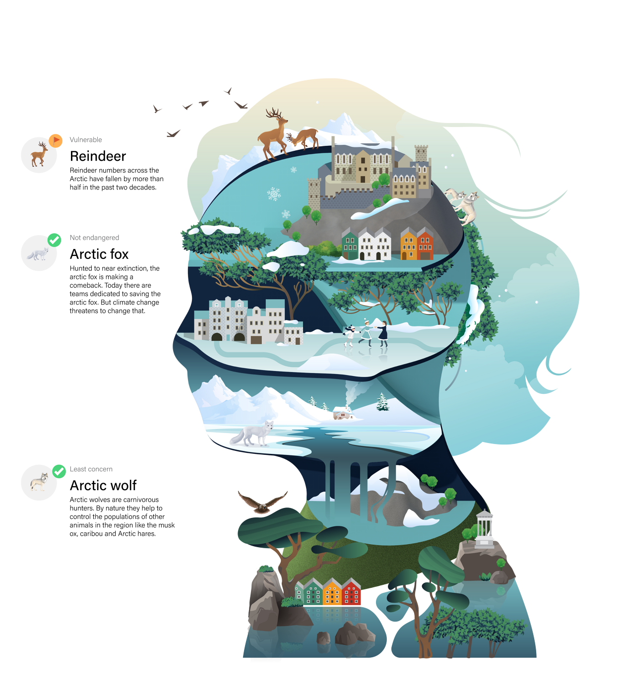 The conservation work - Jing Zhang illustration