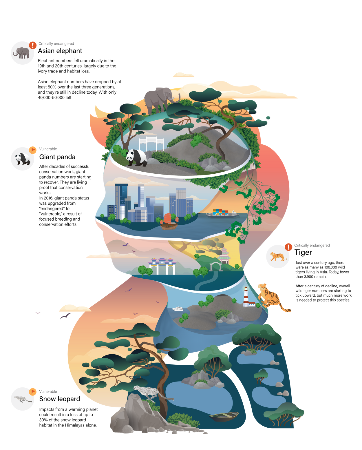 The conservation work - Jing Zhang illustration