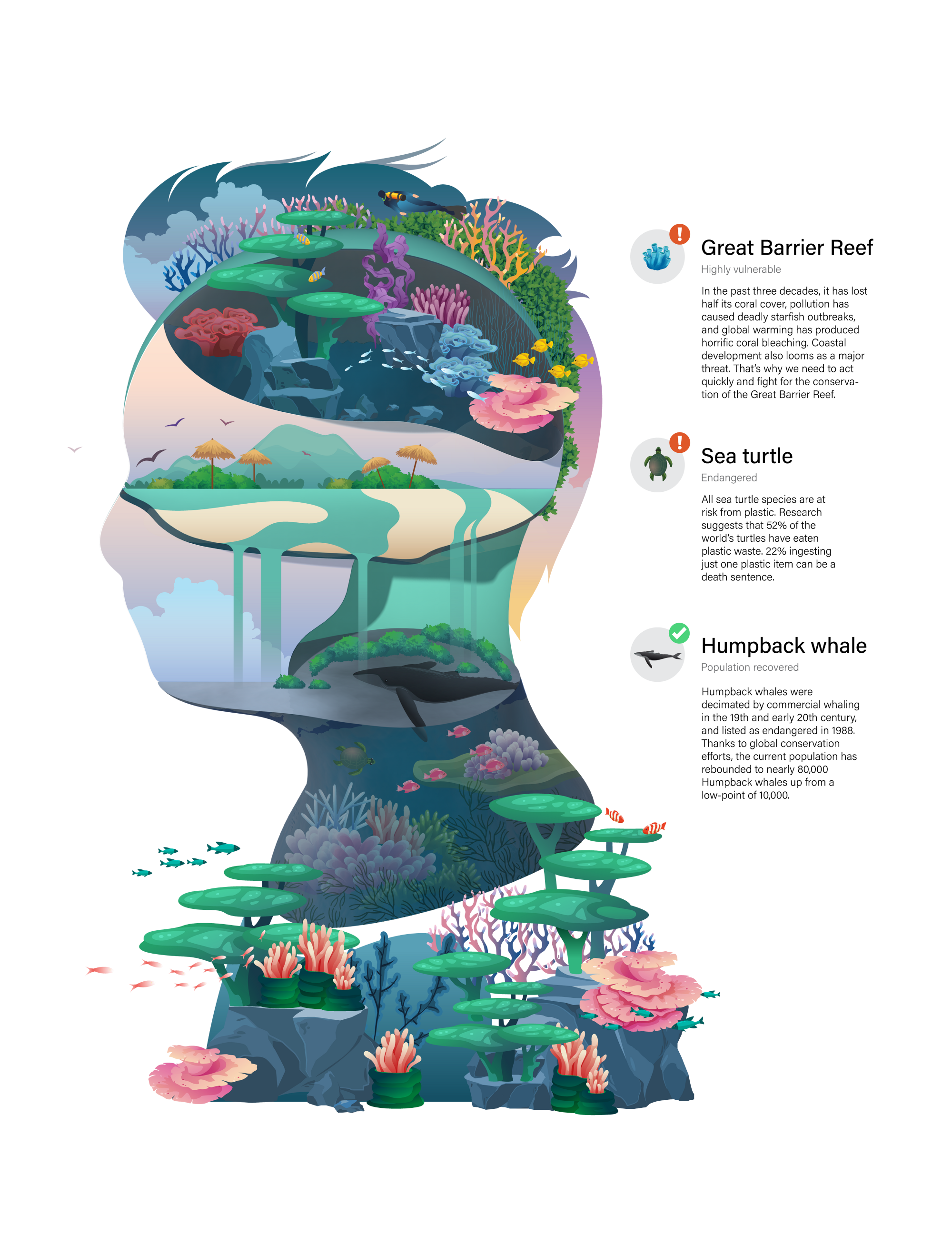The conservation work - Jing Zhang illustration