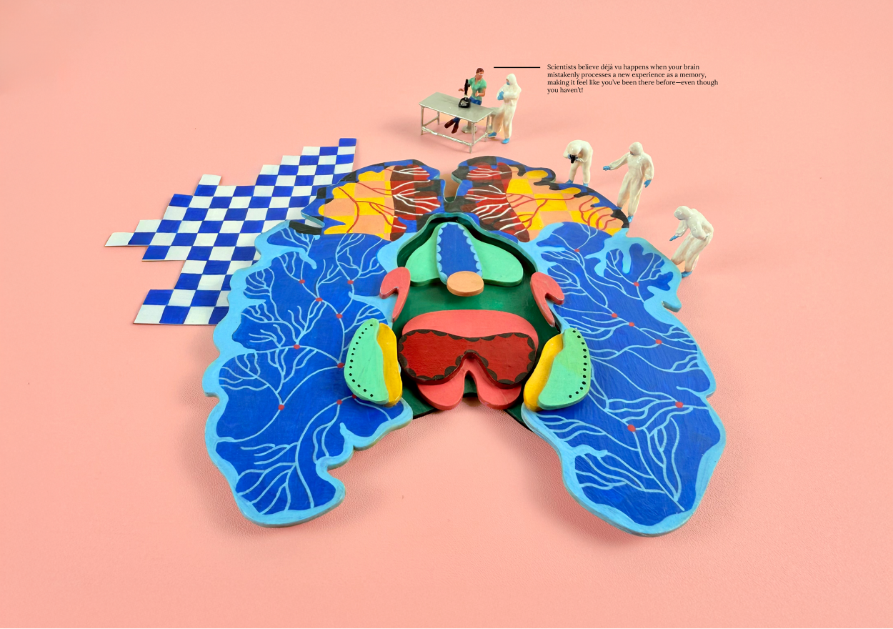 Brainform - Jing Zhang illustration