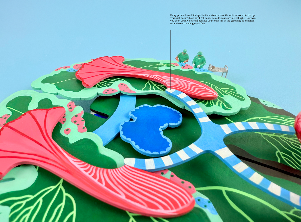 Brainform - Jing Zhang illustration