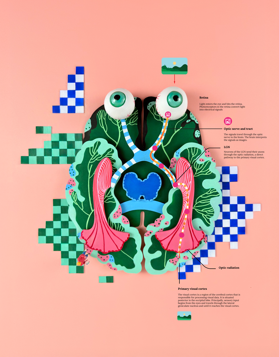 Brainform - Jing Zhang illustration