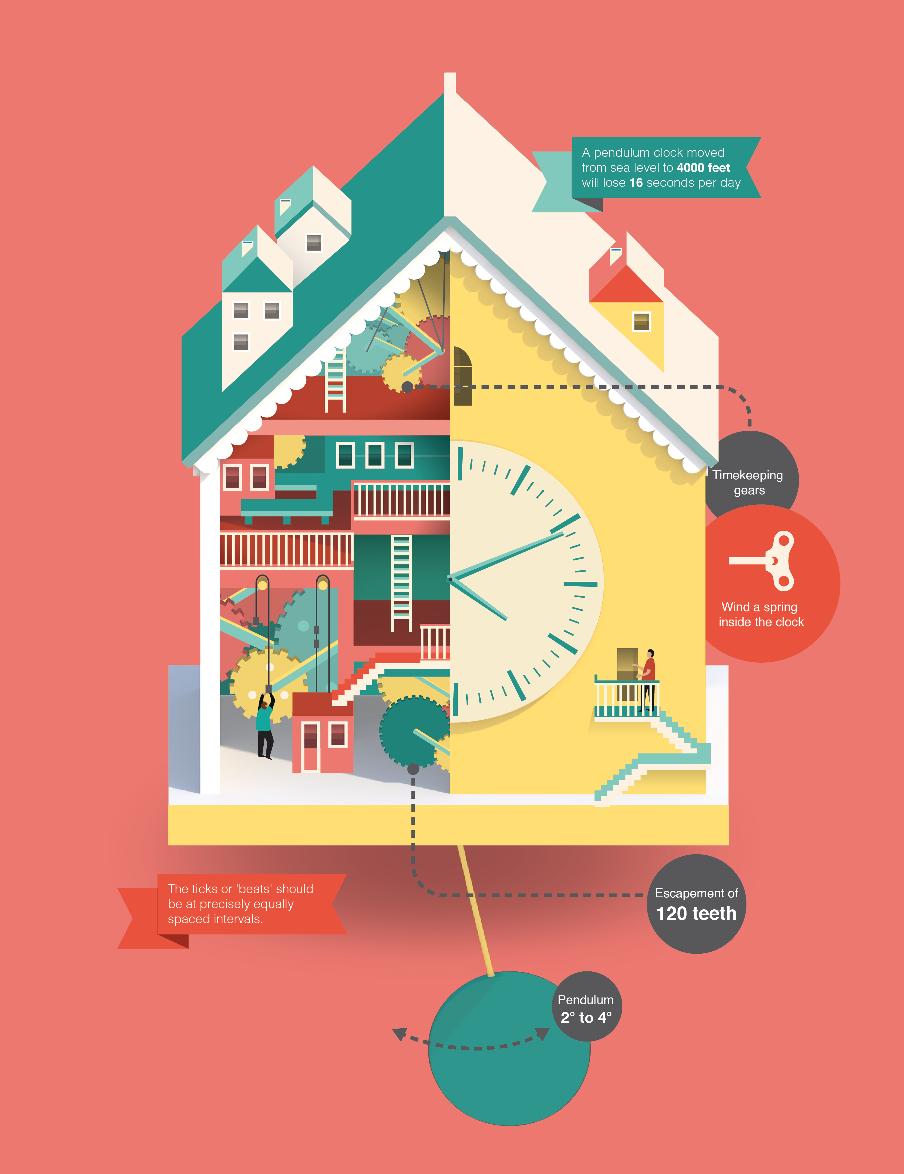Personal project (cuckoo clock) - Jing Zhang illustration