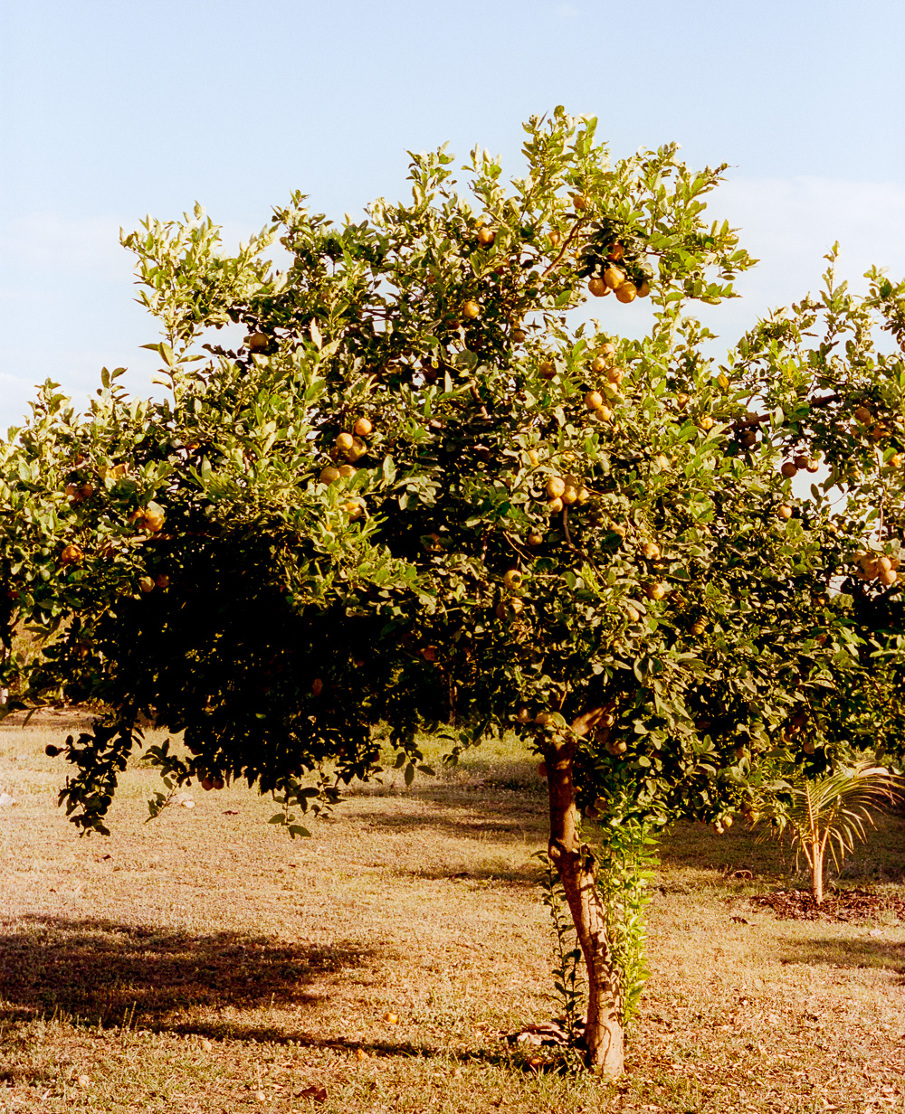 Nicaragua - Kamil Bialous - Advertising and Editorial Photographer ...