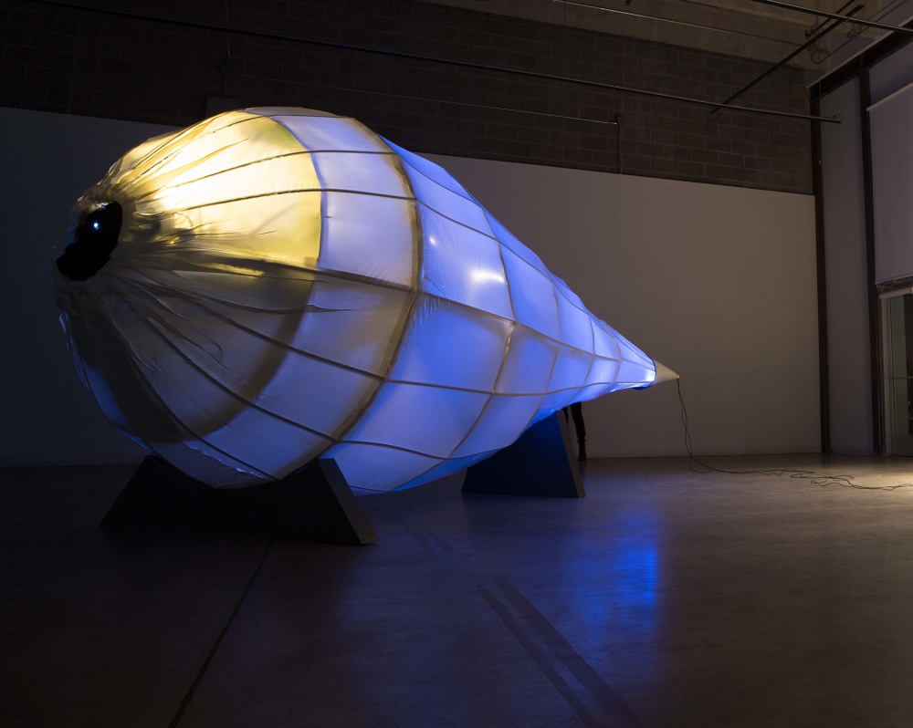 Murmur - Katie Caron