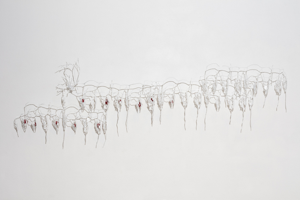 Unseen Nature - Katie Caron