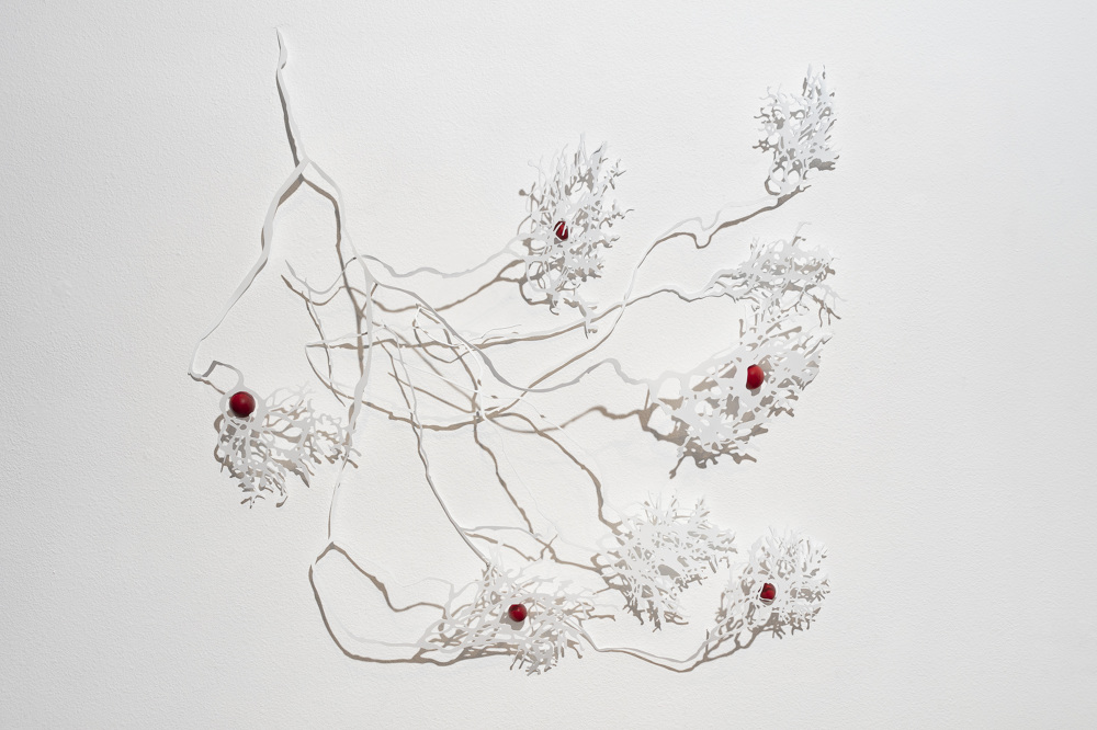 Unseen Nature - Katie Caron