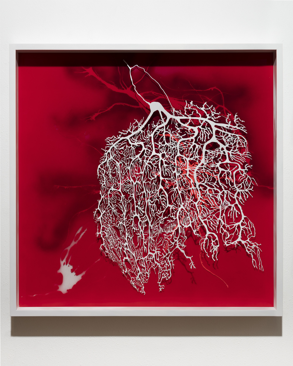 Unseen Nature - Katie Caron