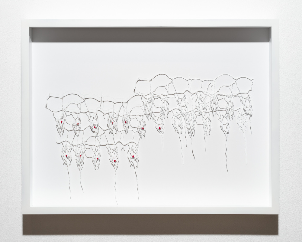 Unseen Nature - Katie Caron