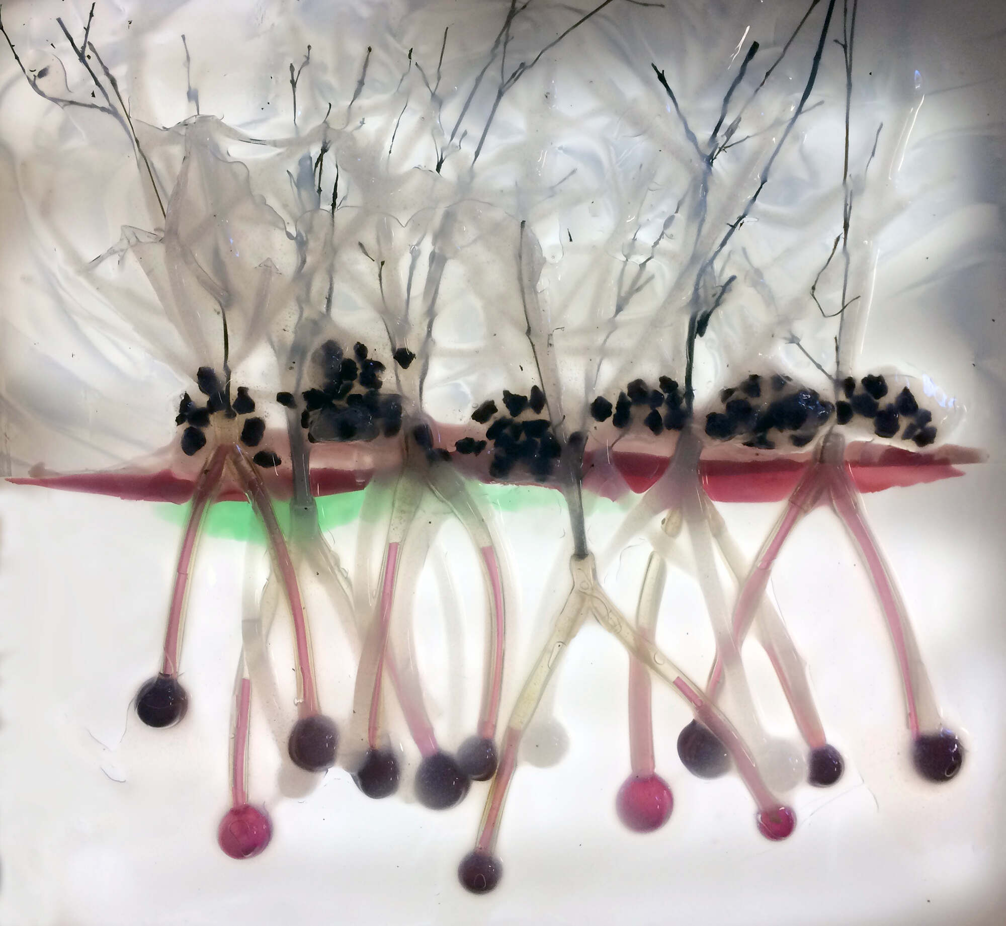 Cross Sections - Katie Caron