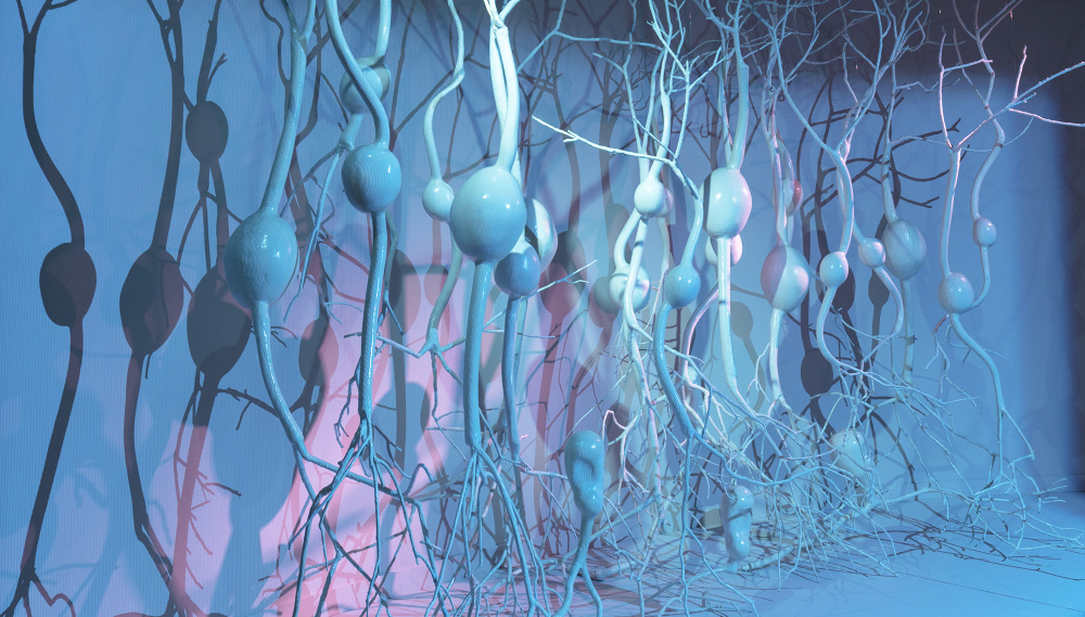 Neuron Forest - Katie Caron