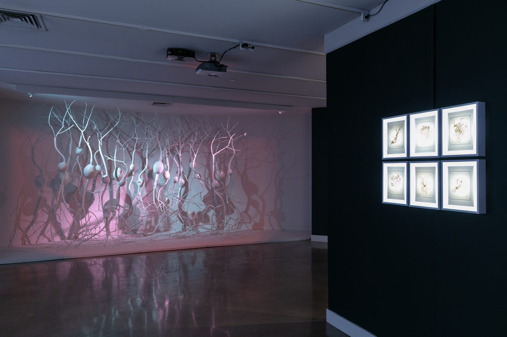 Neuron Forest - Katie Caron