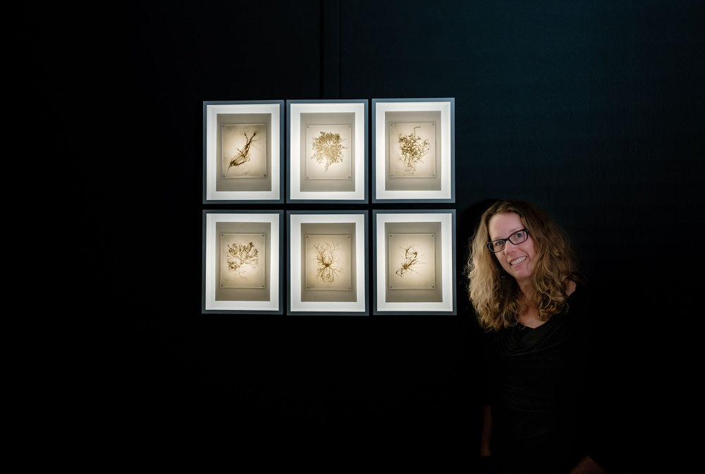 Branching Structures - Katie Caron