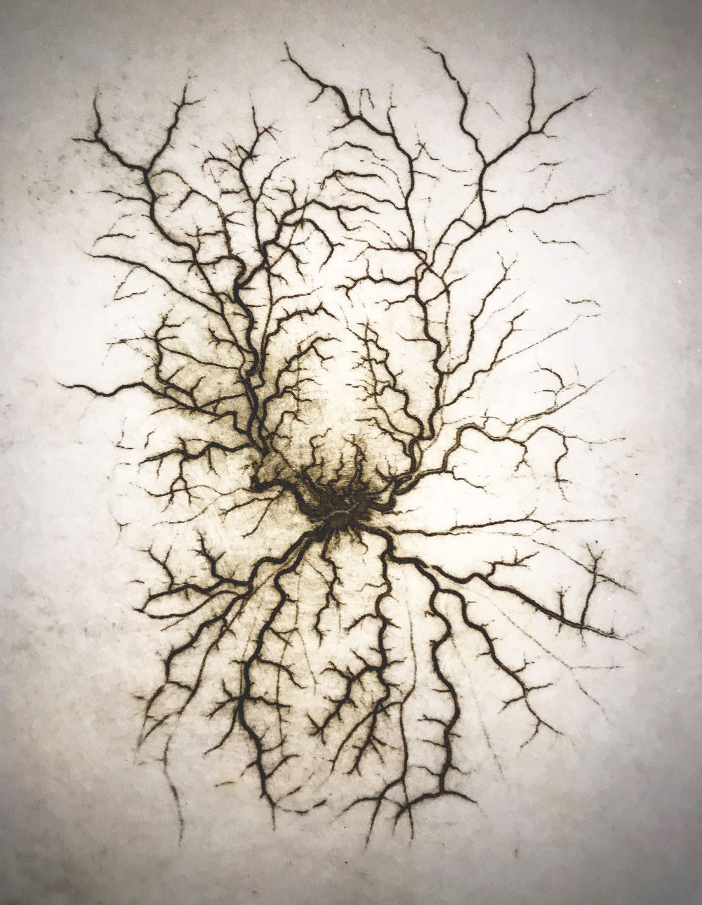 Branching Structures - Katie Caron