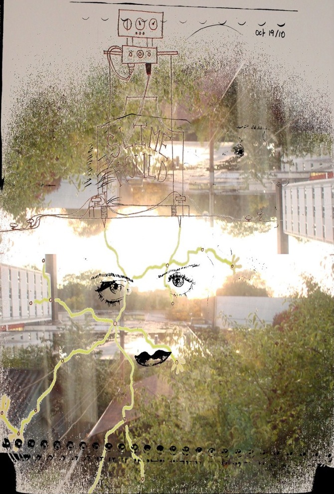 timeline zine - elanadelaney