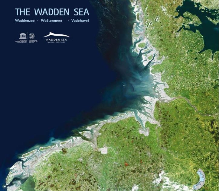 Wadden Tide installation: architecture spaces on the Wadden Sea ...