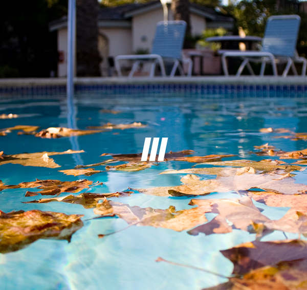 Proxart™ Marketing Campaigns - Orchestrated Design & Marketing