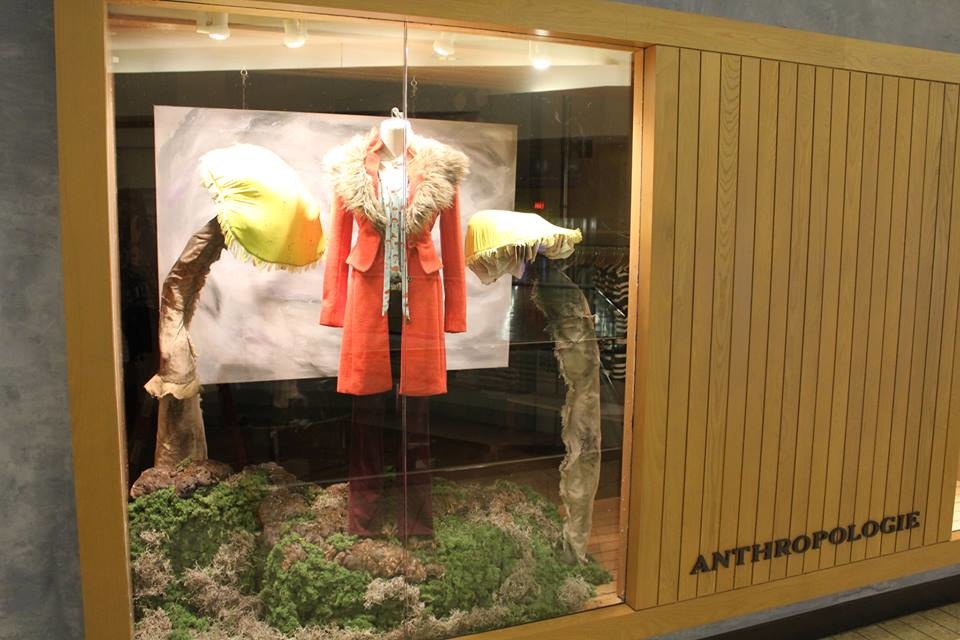 window + visual display - create art. inspire design.