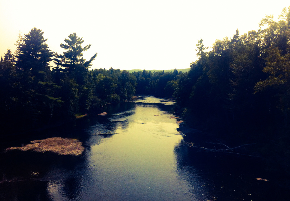 Eye Fun - Nicole Ashley Koster