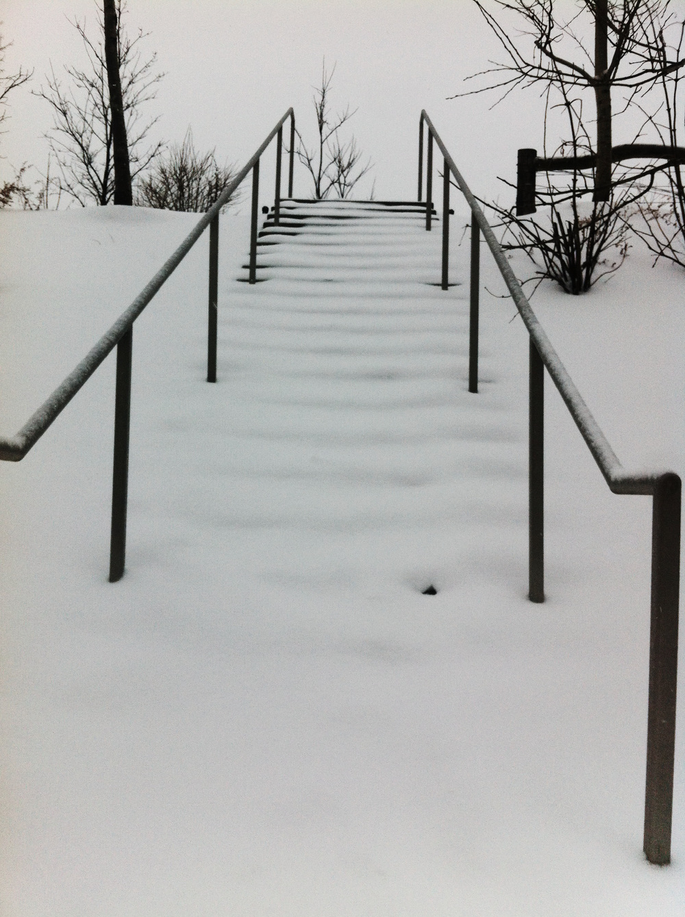 Eye Fun - Nicole Ashley Koster