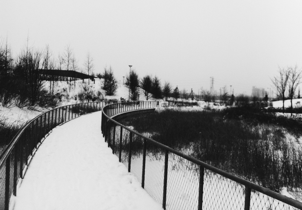 Eye Fun - Nicole Ashley Koster