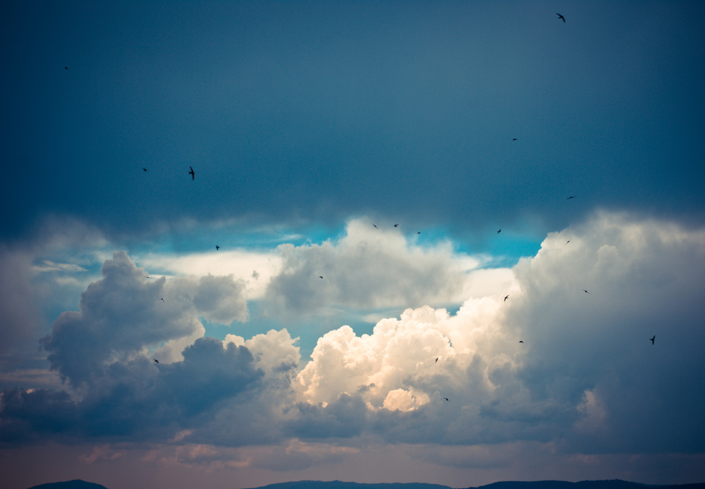 Across The Pond - Nicole Ashley Koster