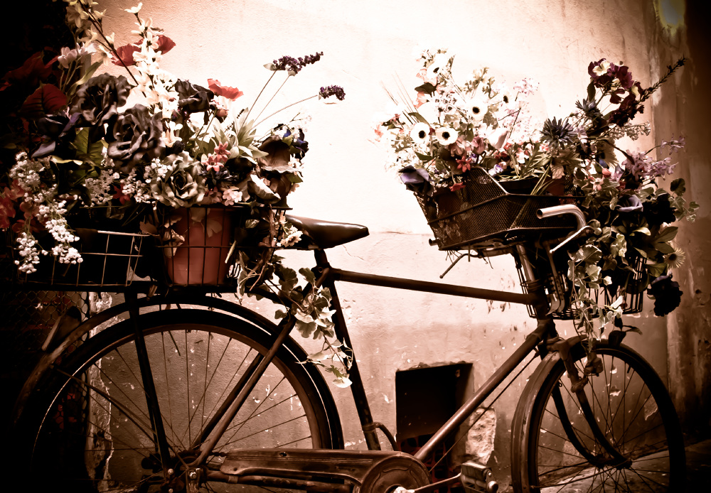 Across The Pond - Nicole Ashley Koster