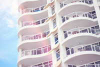 Emily Nelson Illustration