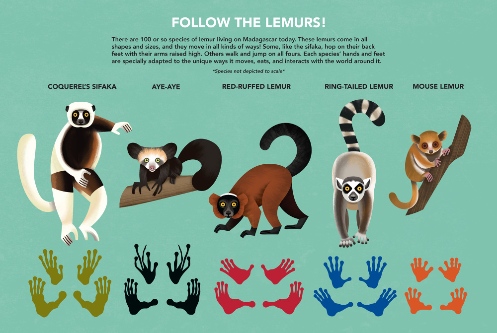 Duke Lemur Center Tour Path Signage - Caitlin Hansen