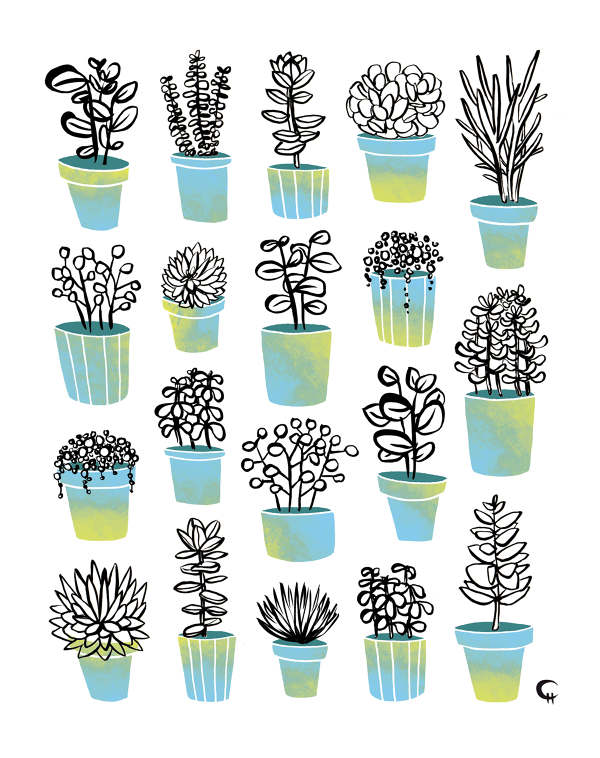 Human Evolution Infographics - Caitlin Hansen