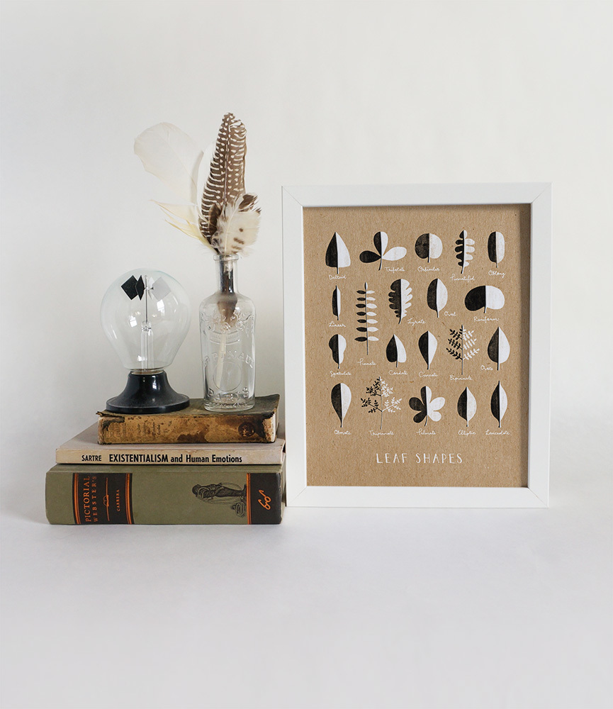 Leaf shapes - Caitlin Hansen