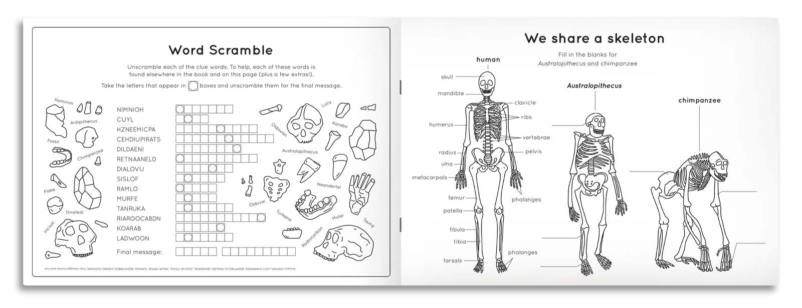 Activity Book - Caitlin Hansen