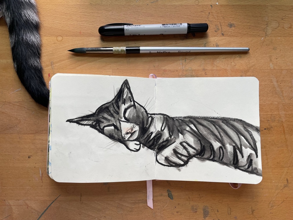 Cats - Caitlin Hansen