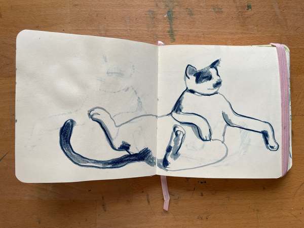 Human Evolution Infographics - Caitlin Hansen