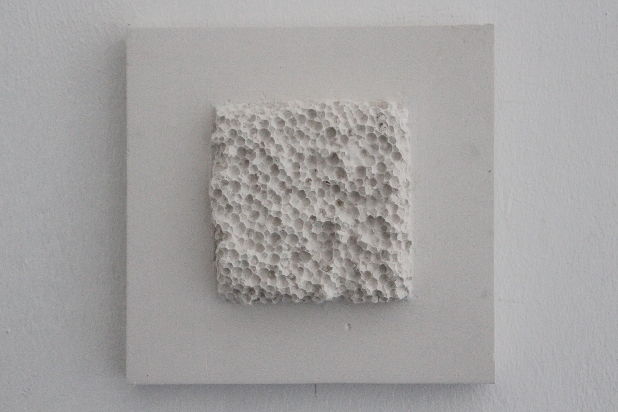 Ordered Disorder (The Mini Series) - Ashvini Ray