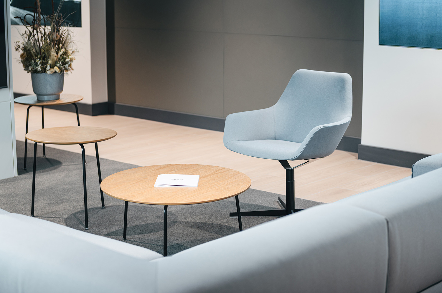 BYD - Automotive - Roscoe Rutter