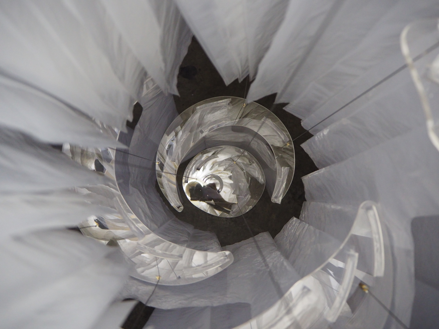 The Fortnight Lamp - MP