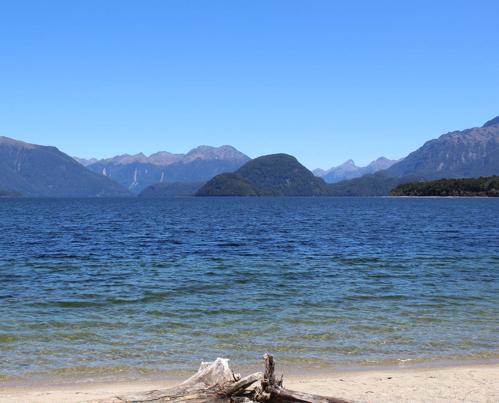 MANAPOURI GHOSTBIRDS - Lou Barnell