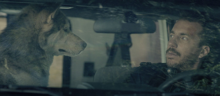 She Wolf - Victoria Marotta