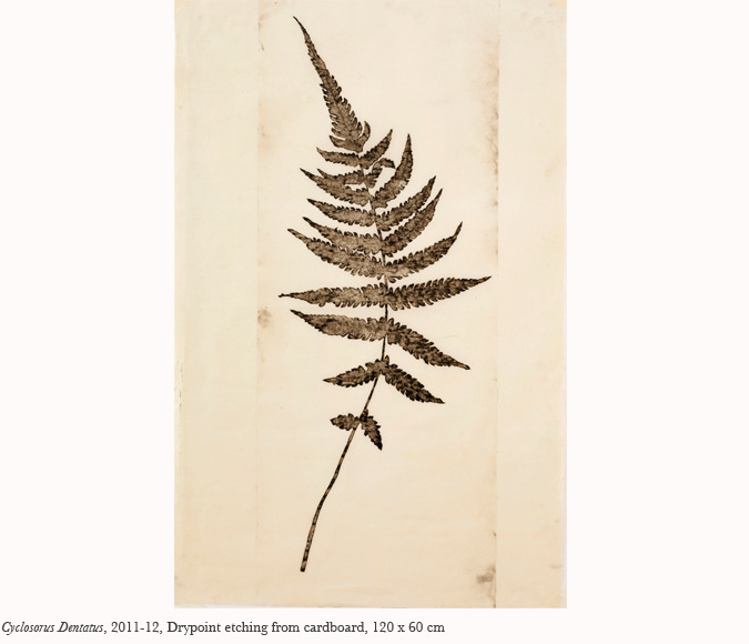 The Museum of nothing Special 2012 - christinewillcocks.com